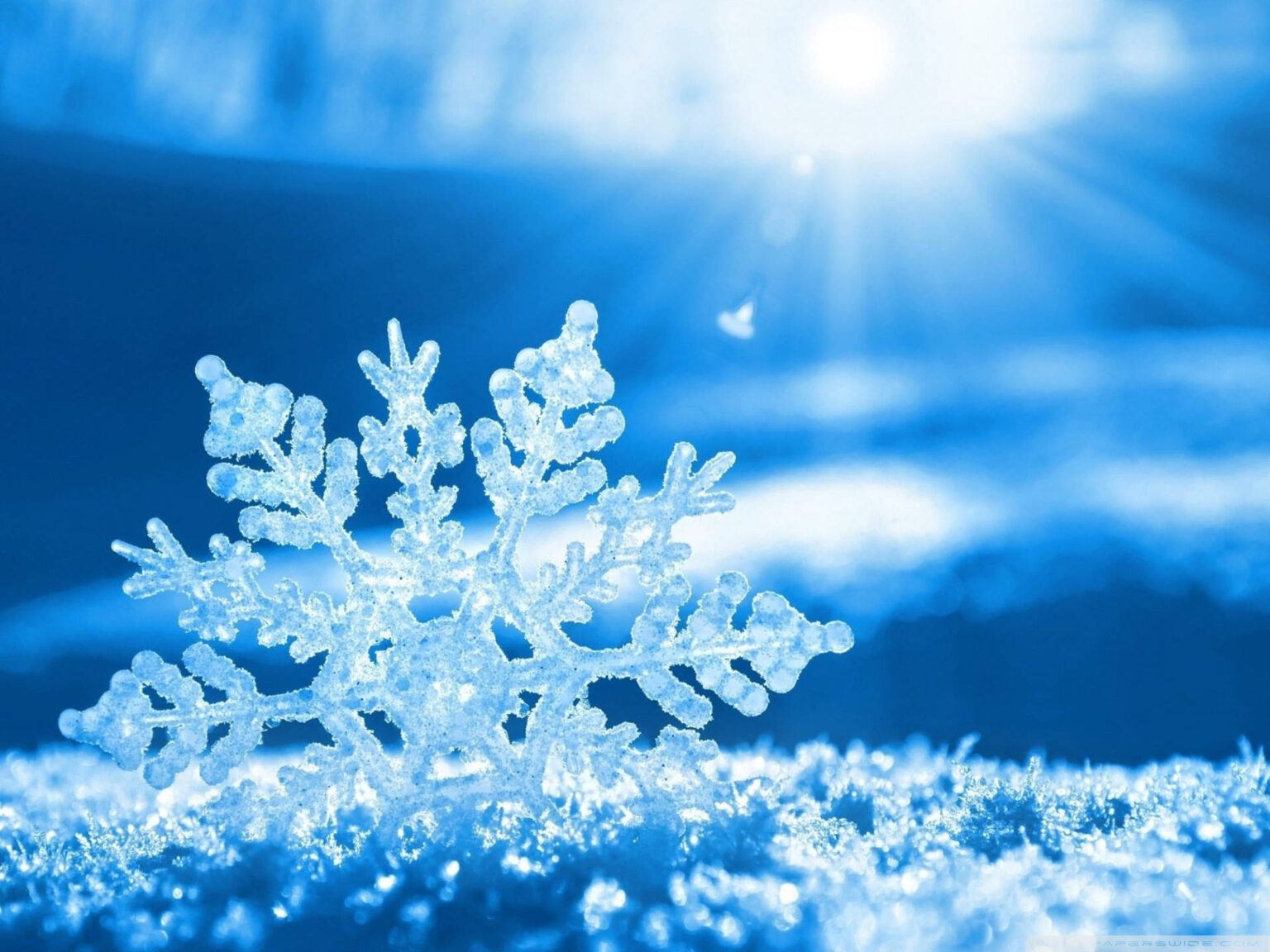 Cold Weather & Hearing Loss | Life Hearing Solutions